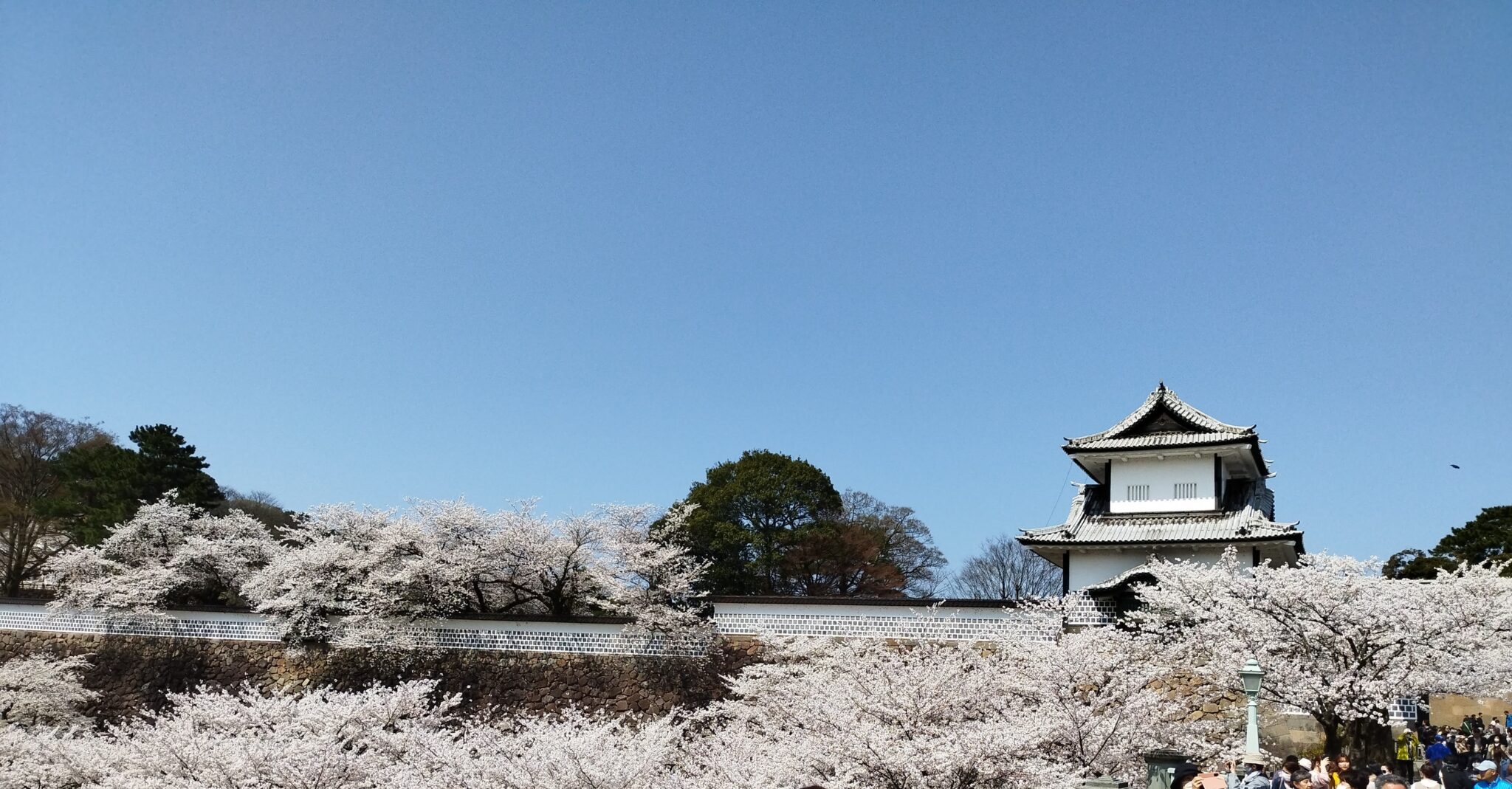 金沢城の石川門を英語案内！唐破風の美学と「真の金持ち」ジョーク｜通訳演習【3.3】上級シリーズ - インバウンドビジネス最前線の方々へ！AIの ...